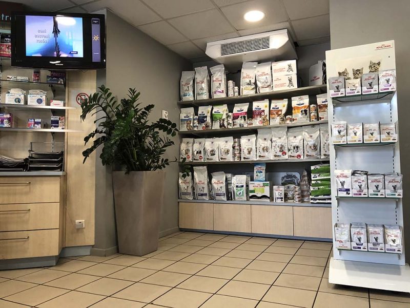 Hygiène / Diététique à la clinique vétérinaire Alco à Montpellier